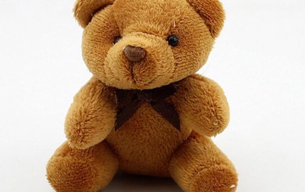 Charming Teddy | Same Day