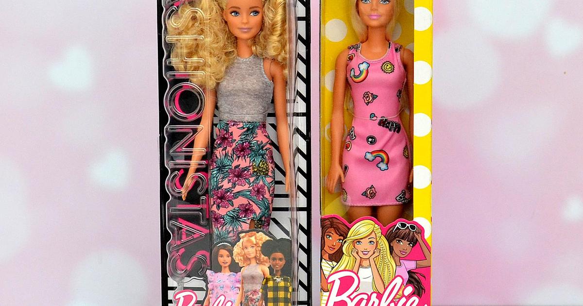 Fashionistas and Cute Barbie Combo | Barbie Dolls