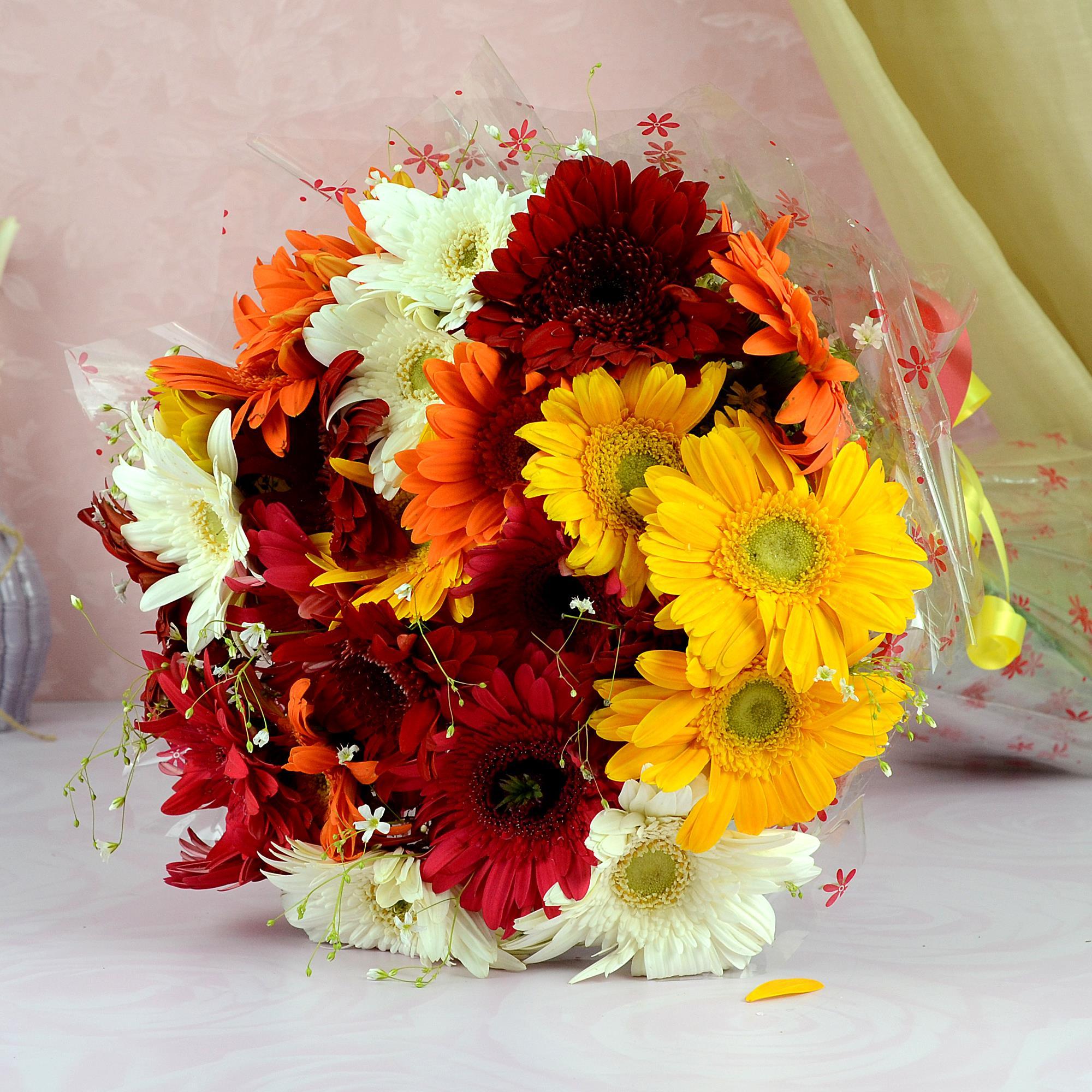 Multicolor Gerbera Bouquet | Assorted Flowers