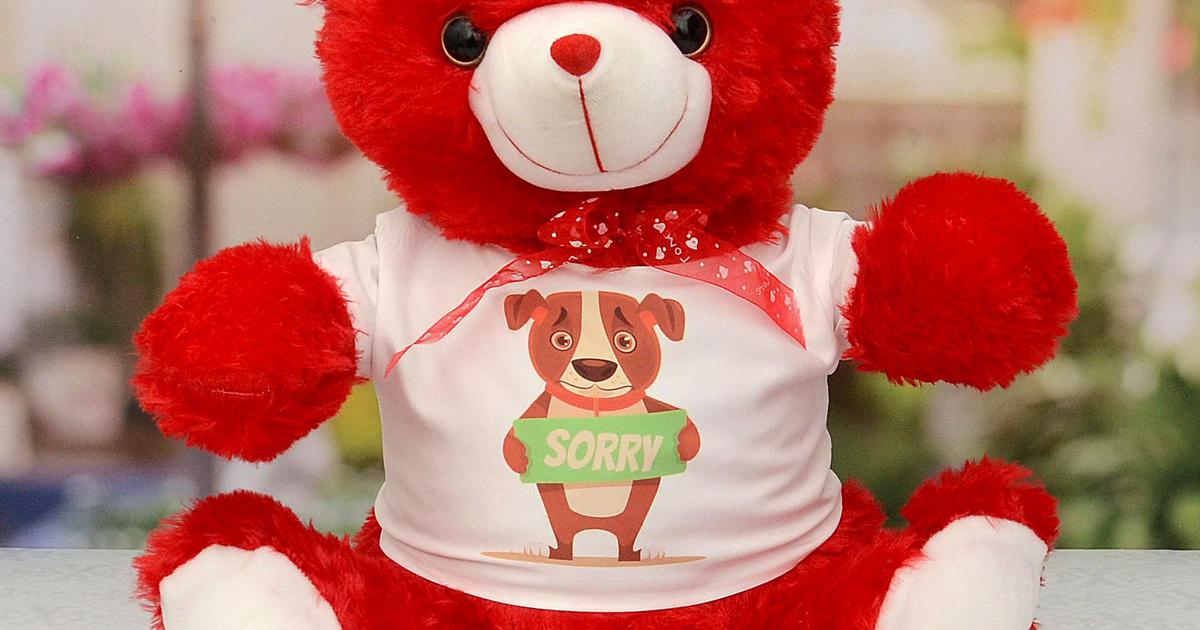 Cute Red Sorry Teddy Bear | Sorry Gifts