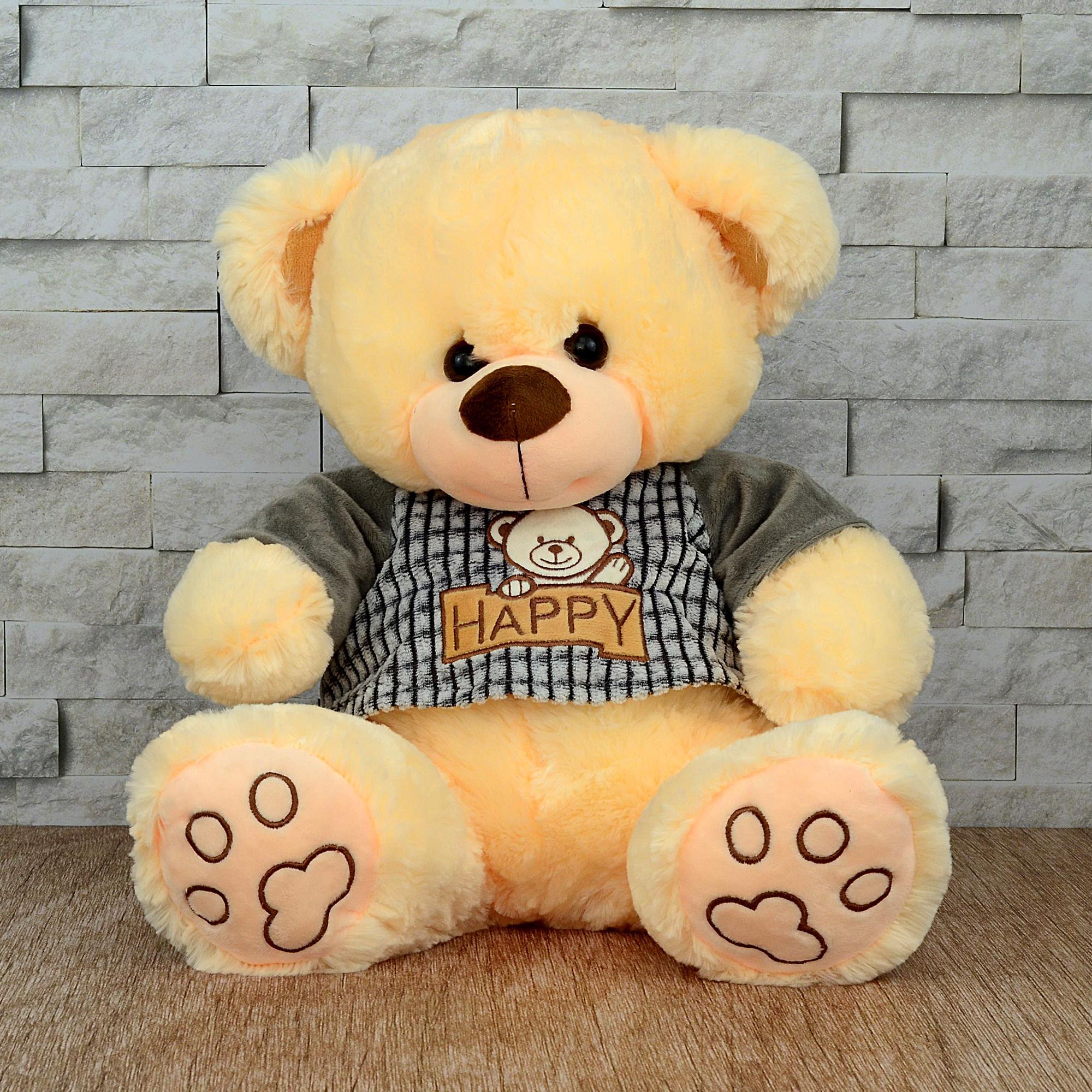 Happy Huggy Teddy | Soft Toys