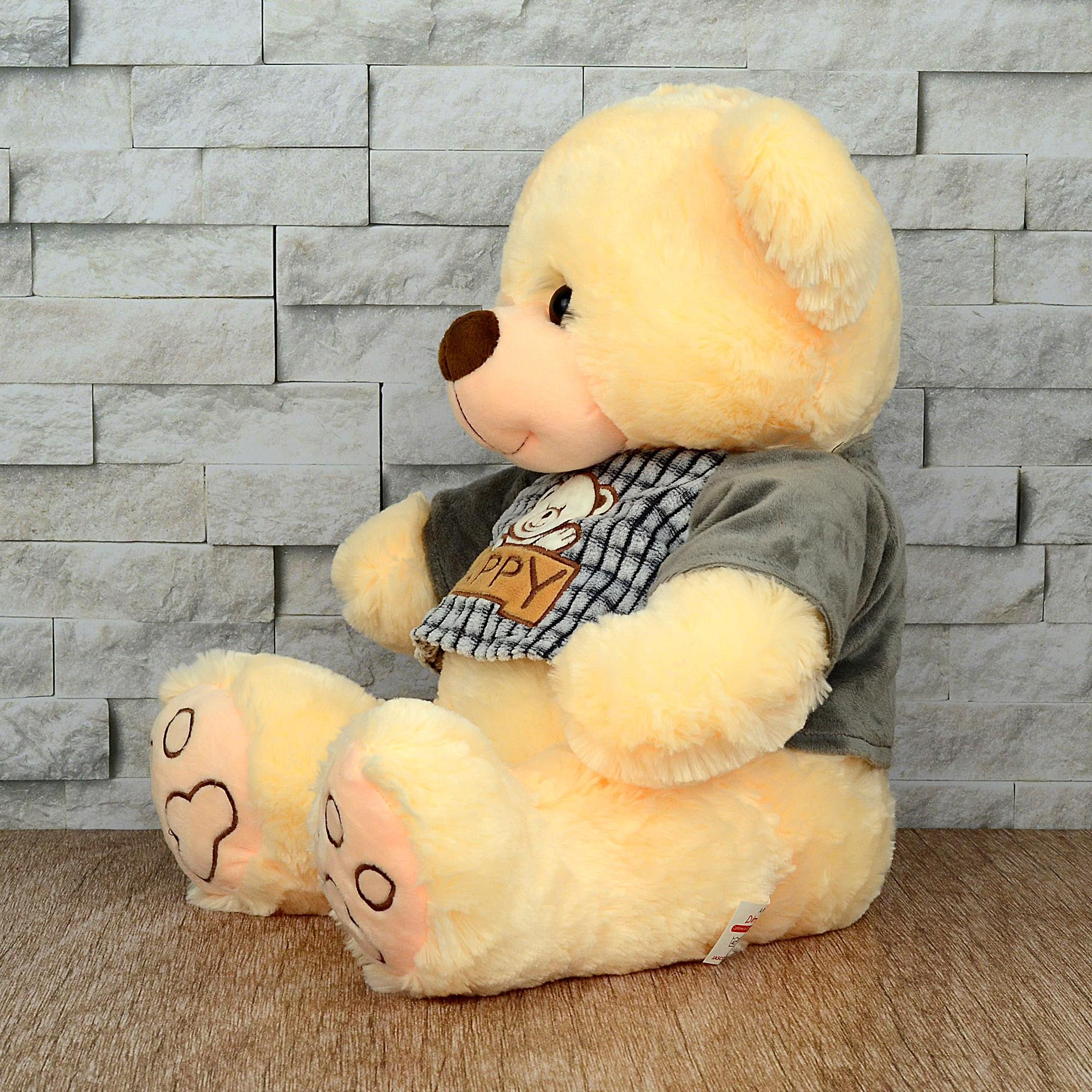 Happy Huggy Teddy | Soft Toys