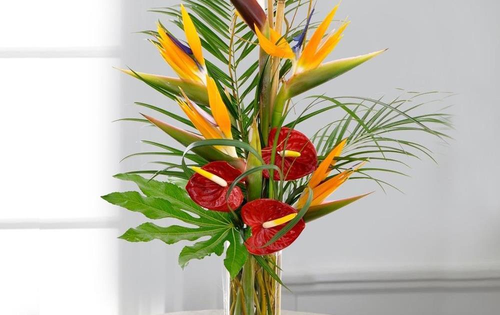 BoP & Anthuriums (Midnight) | Flowers at Midnight