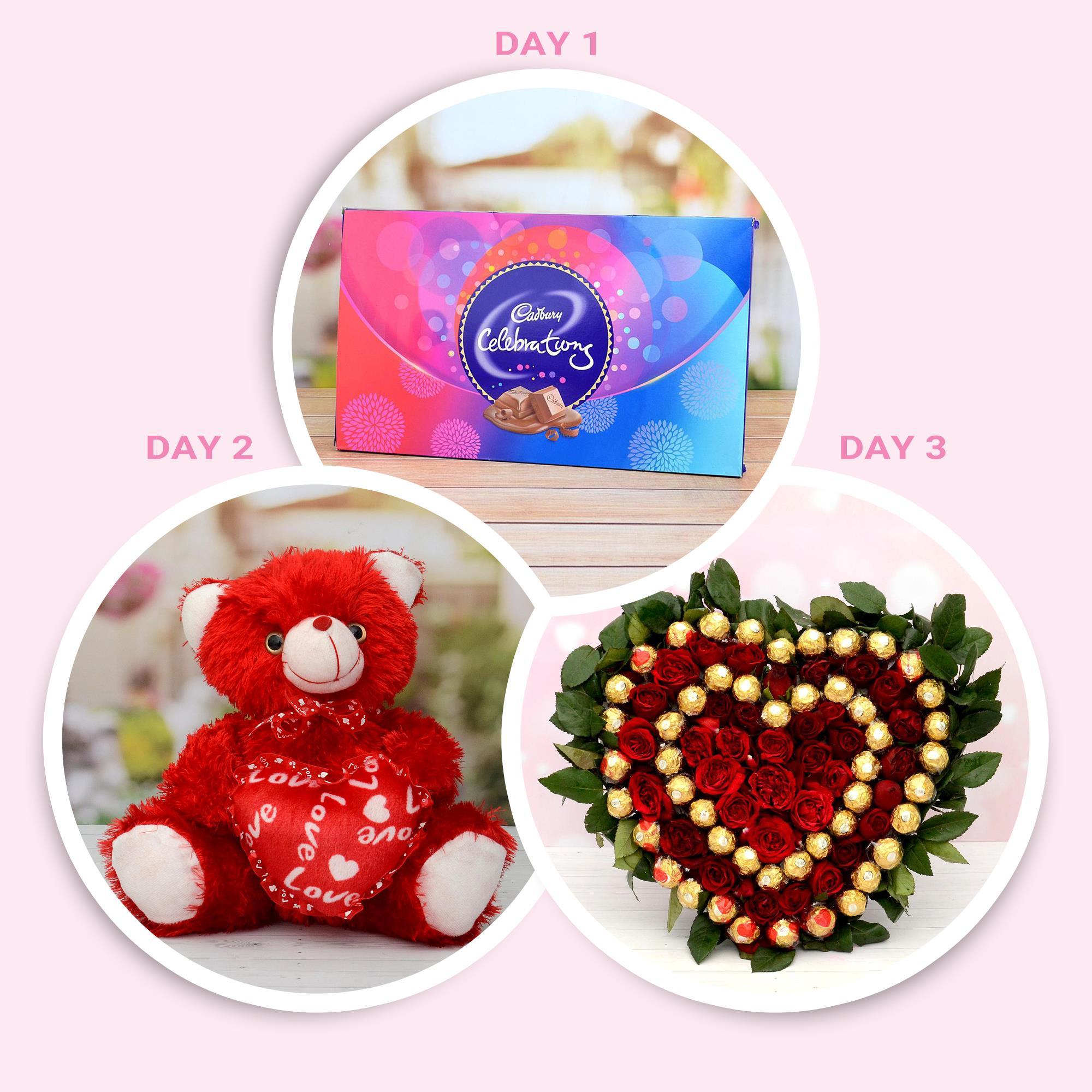 3 Day Chocolate & Teddy Serenade | Valentine Serenades
