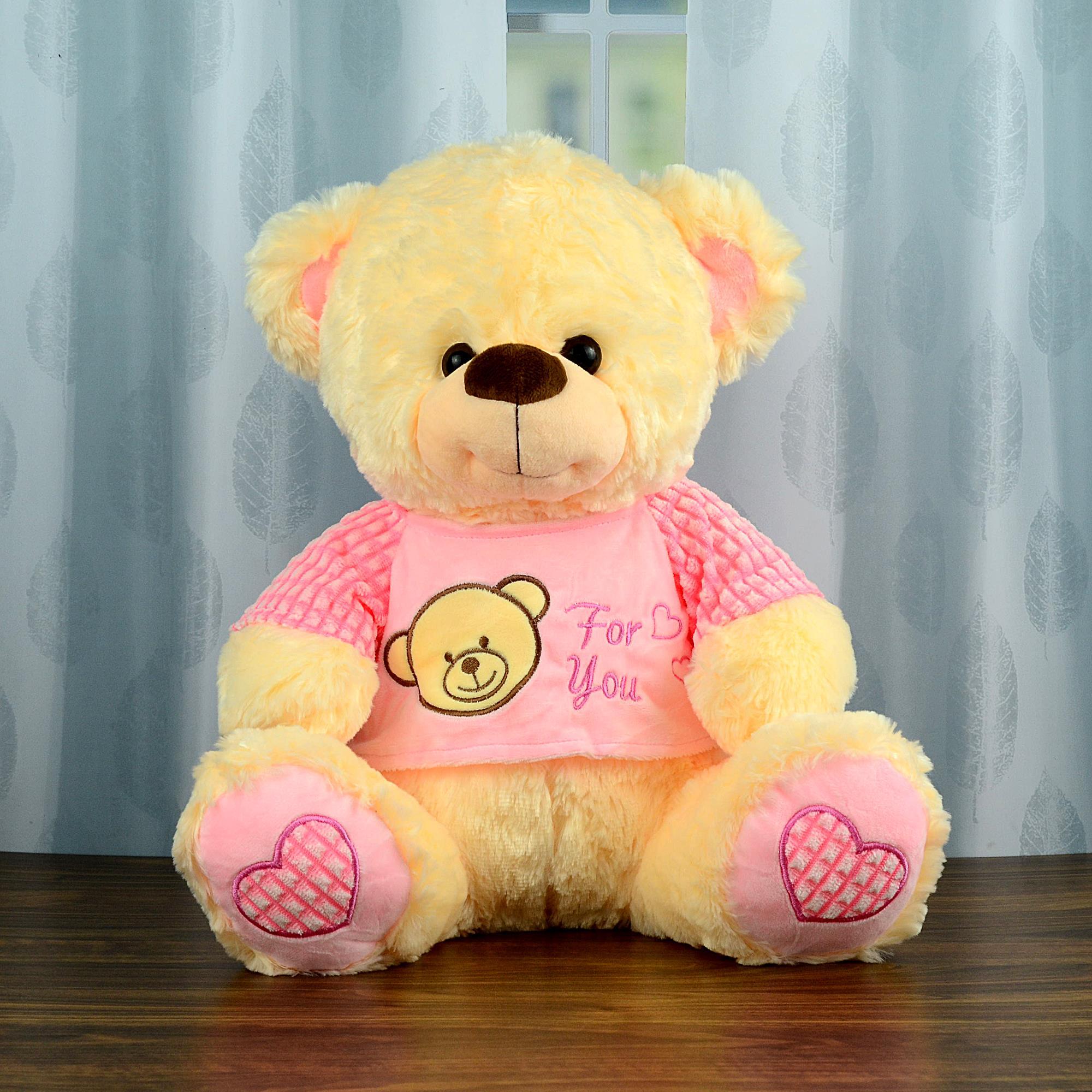 Teddy in Adorable Shirt | Soft Toys