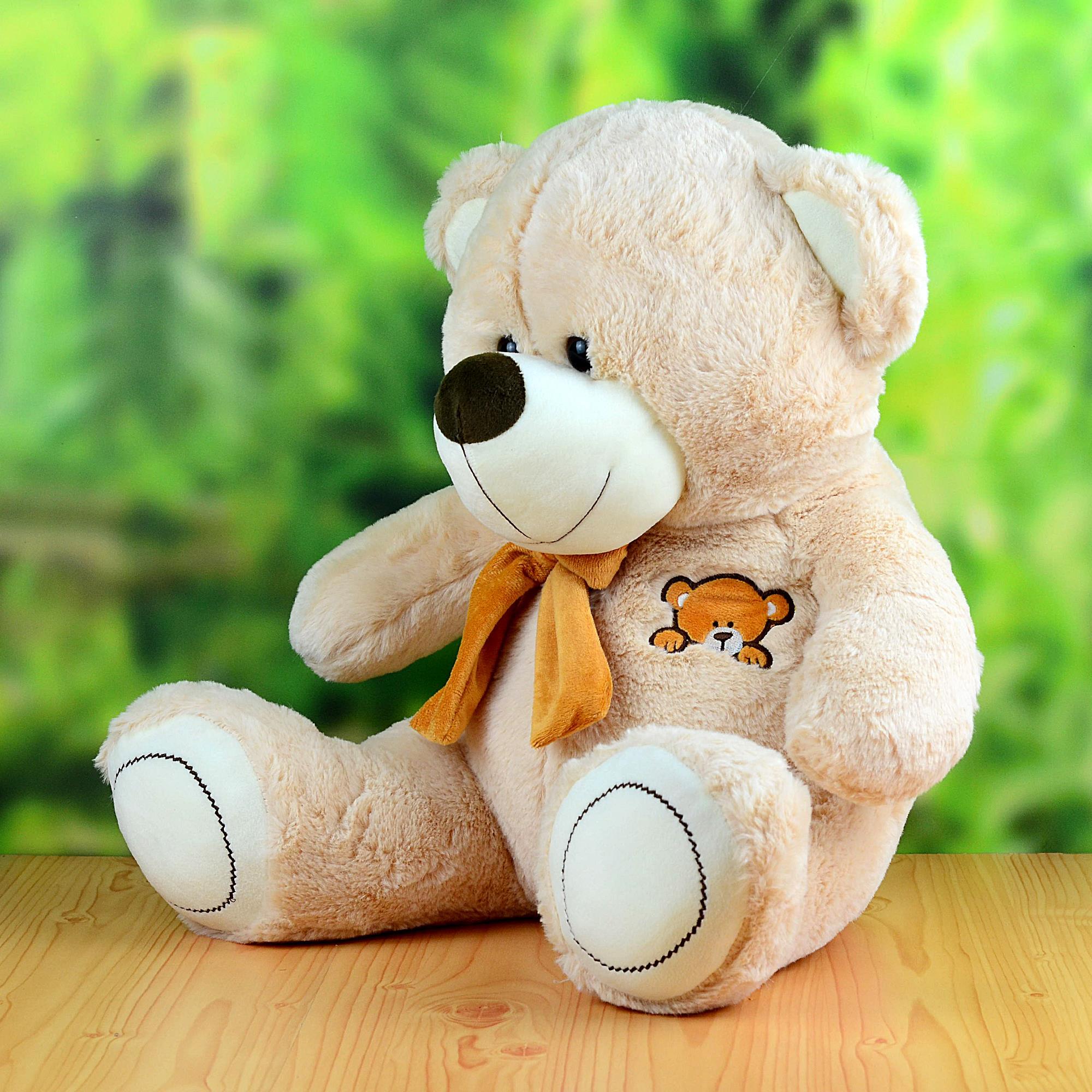 Handsome Teddy With Bow Tie | Soft Toys