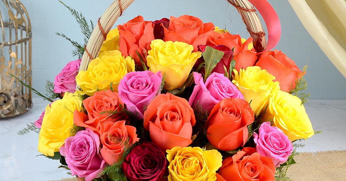 36 Multicolour Roses | Flowers at Midnight