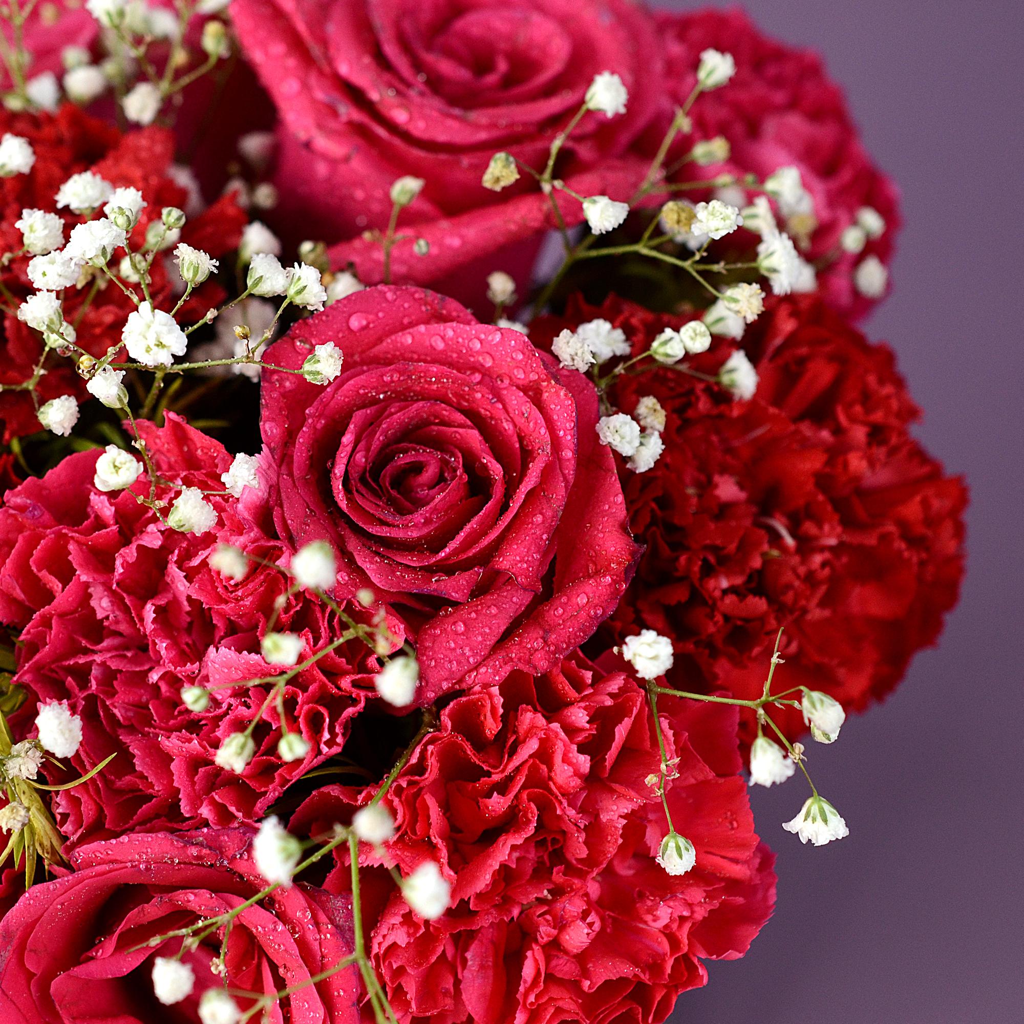 Elegant Roses & Carnations in a Vase | Assorted Flowers