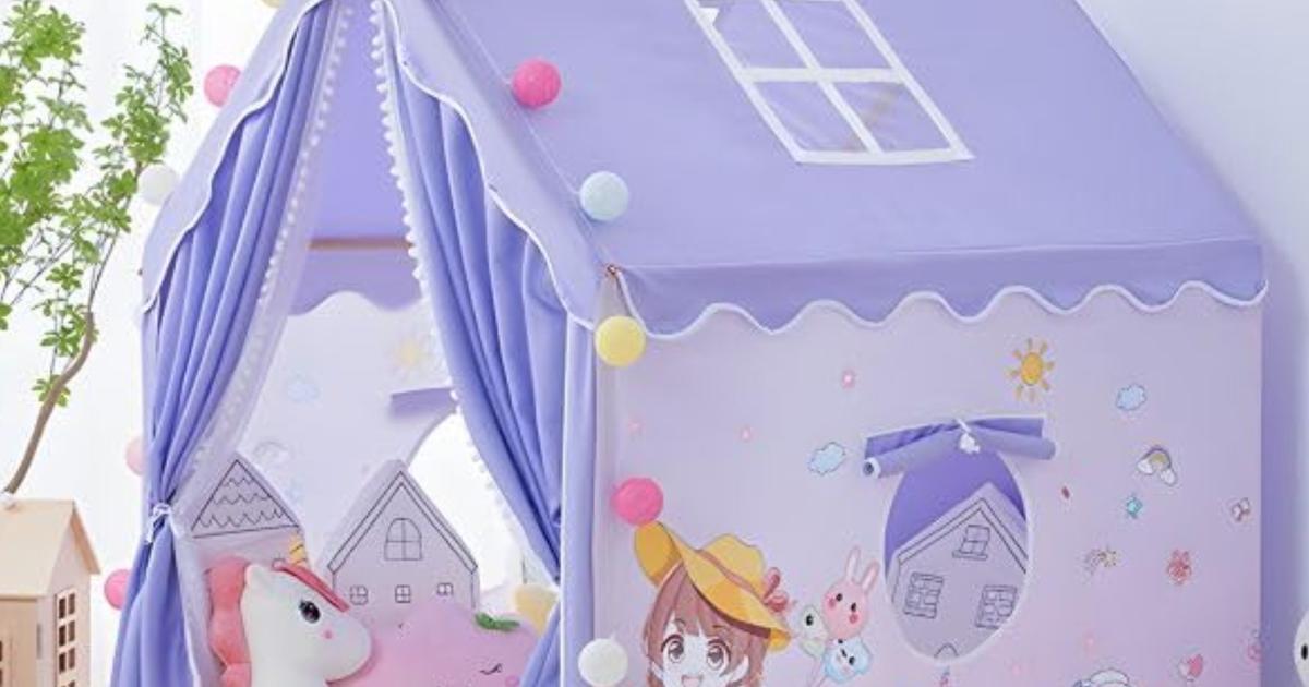 Purple Play Tent House | Outdoor Play Area
