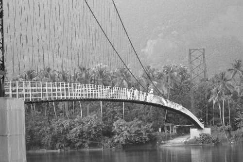 Send Flowers to Kothamangalam