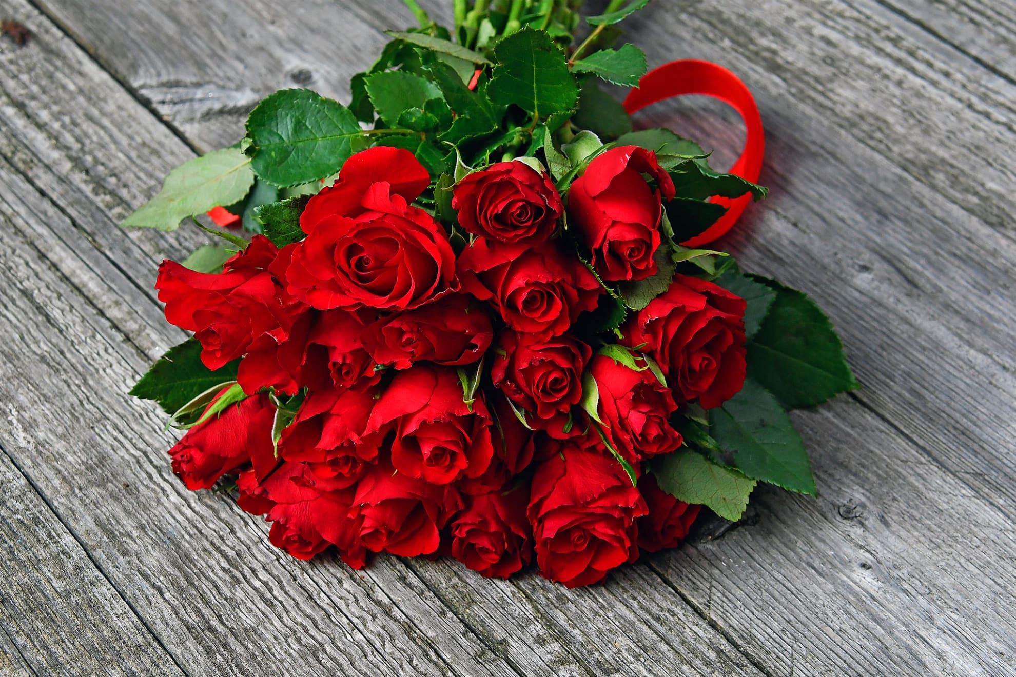 Significance of Red Roses on Valentine s Day